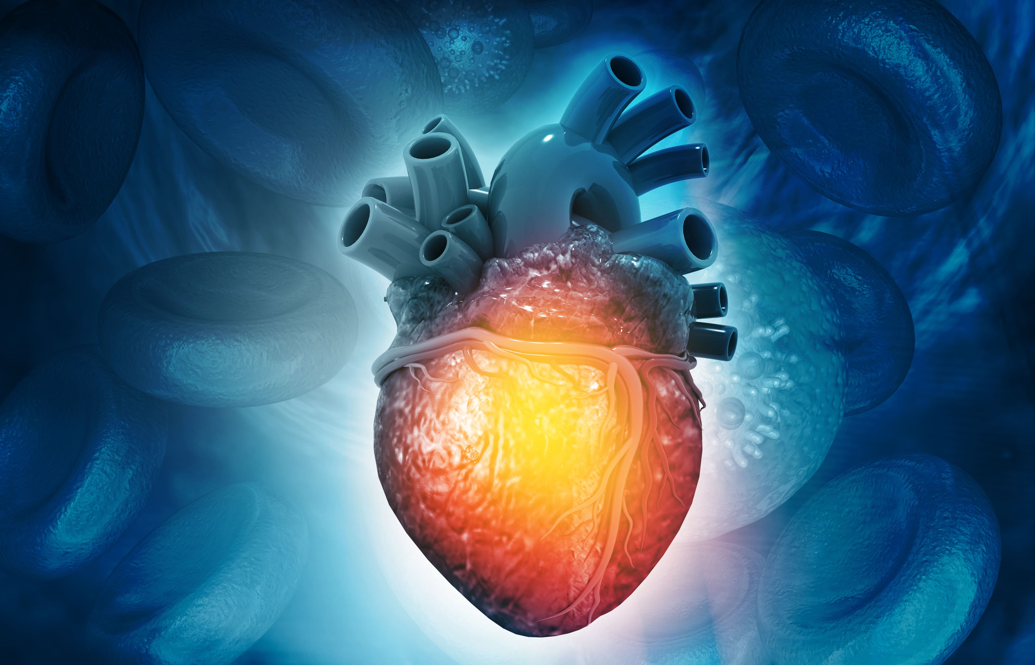 Conocer la frecuencia cardiaca y tener un peso saludable podrían ayudar ...